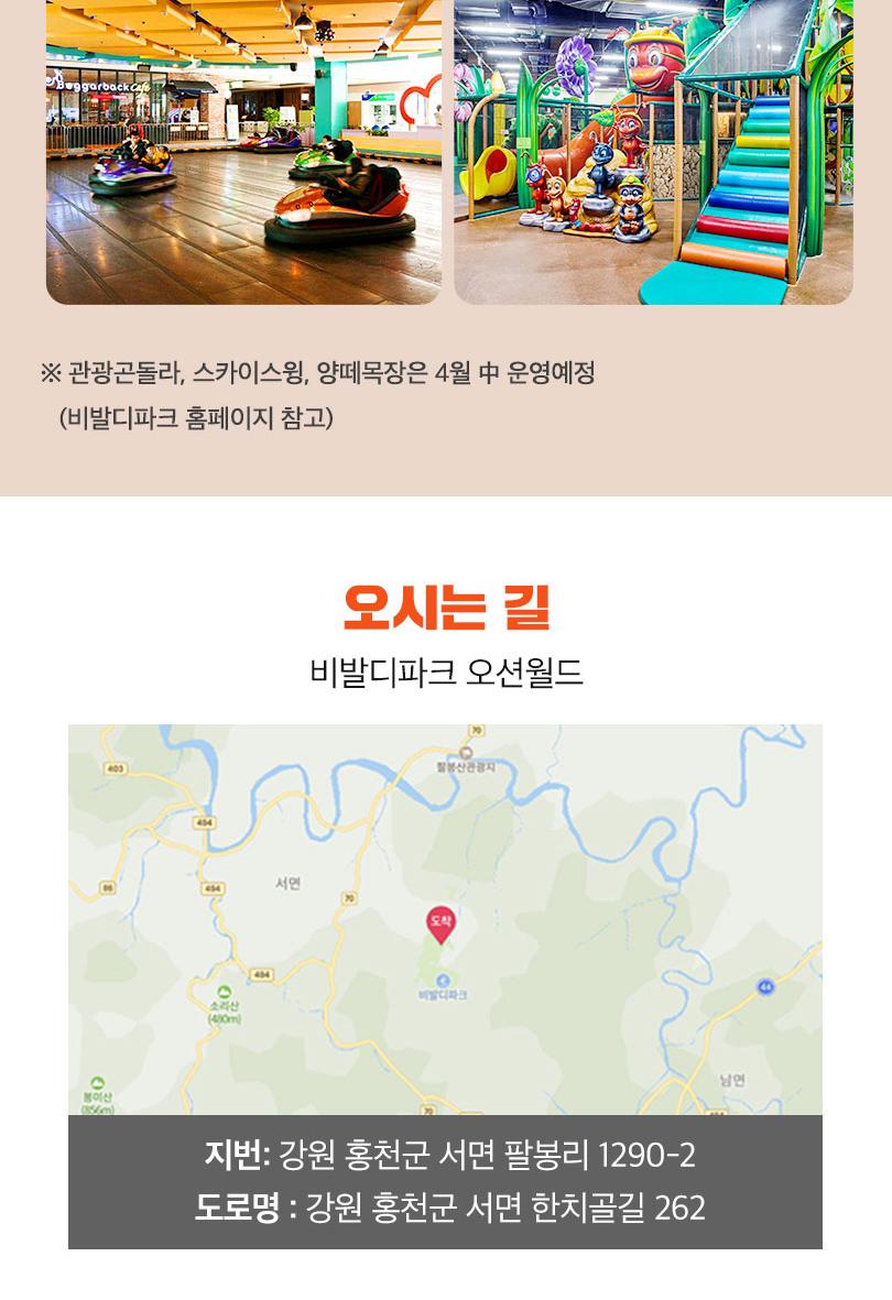 강원 홍천 비발디파크 오션월드 워터파크 입장권 유효기간형