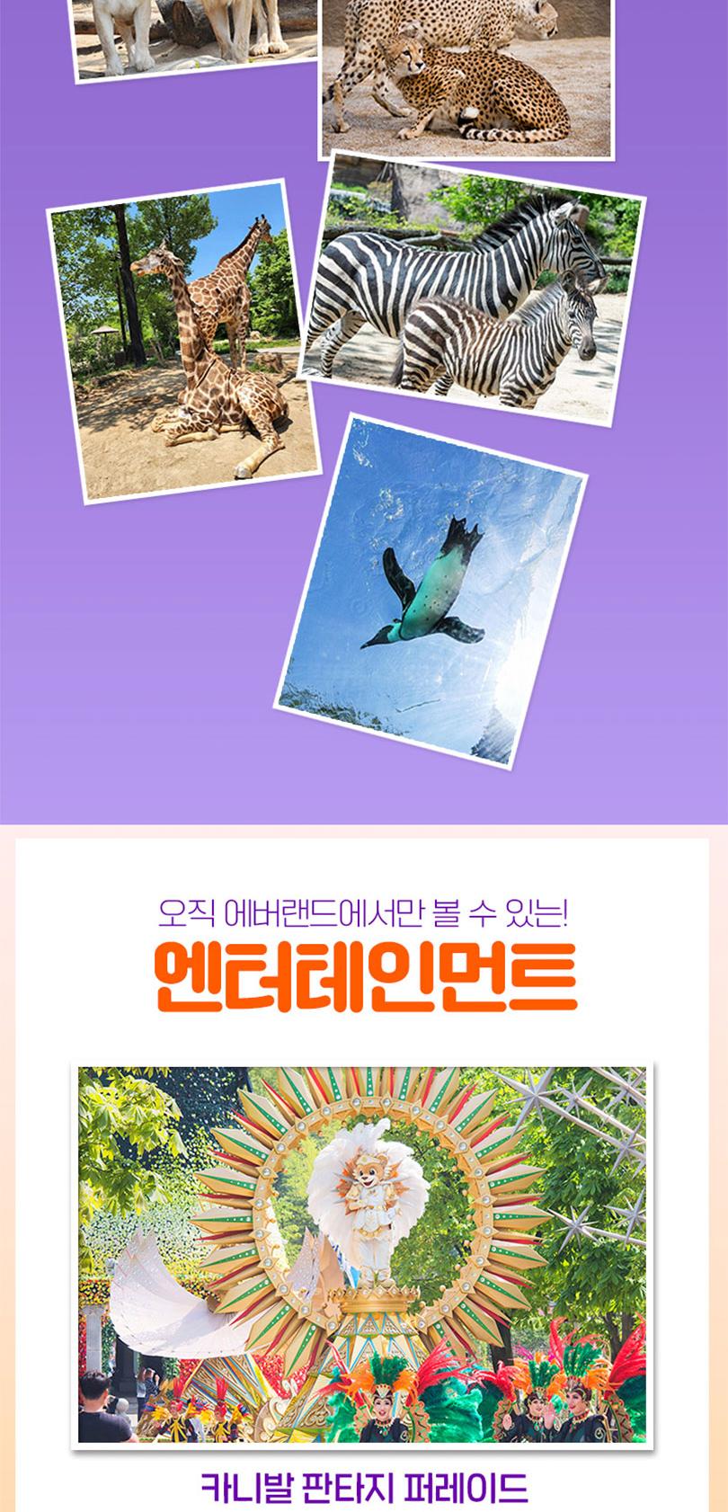 [용인] 에버랜드 종일이용권 | 투어비스 투어&티켓